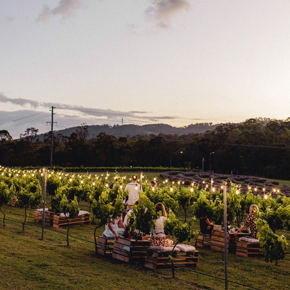 Sirromet - A Best Of Queensland Awarded Experience